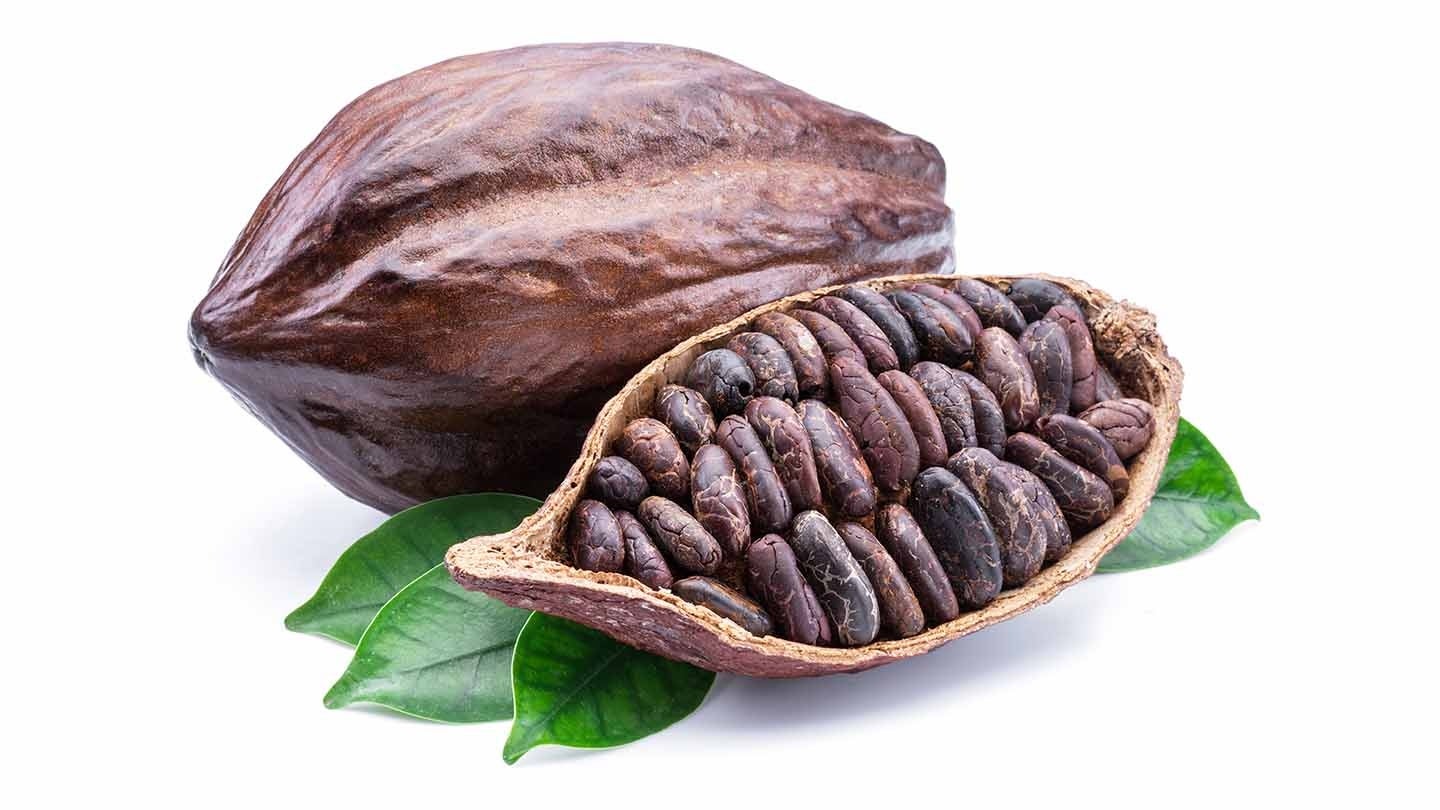 Celebra el Día Mundial del Cacao| Nestlé Professional