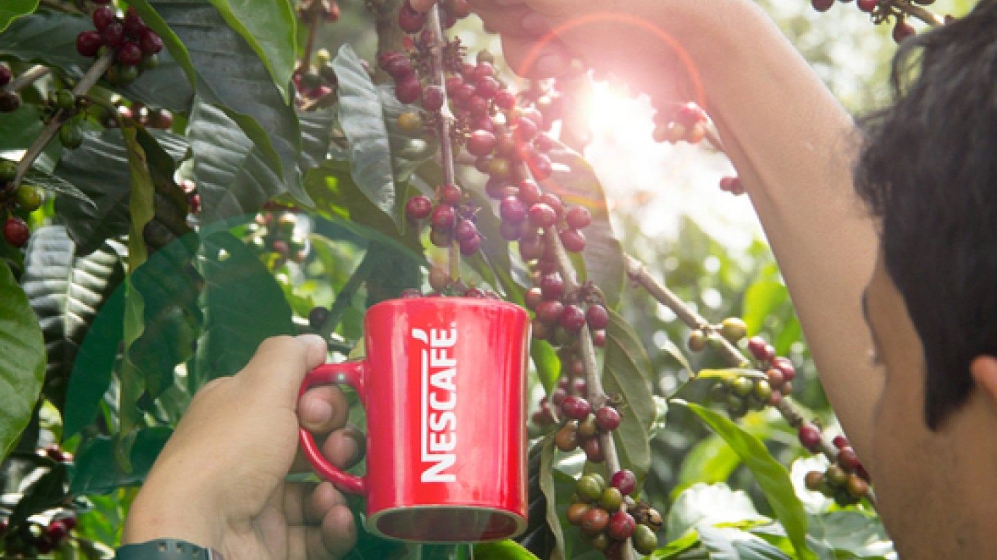 Eleva tu oferta con productos NESCAFÉ® | Nestlé Professional