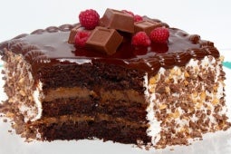 Chocolate SUBLIME® Extremo 50g | Nestlé Professional